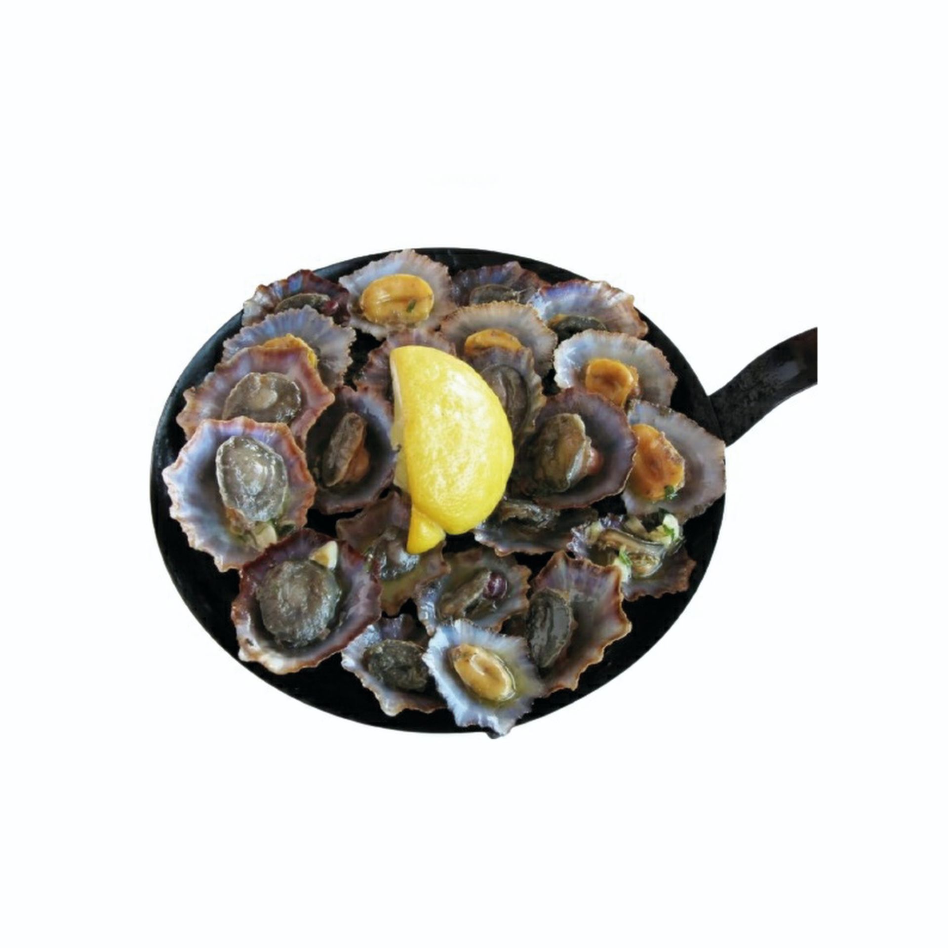 Limpets (Lapas) 1kg | Divino