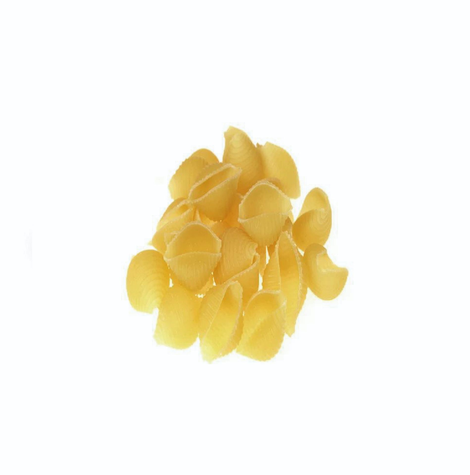 Conchas - Coccioline- Riscossa 500gr | Divino